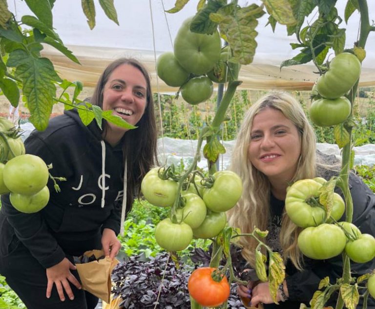 Volunteer mornings at Lovebrook Farm | Lewes Climate Hub